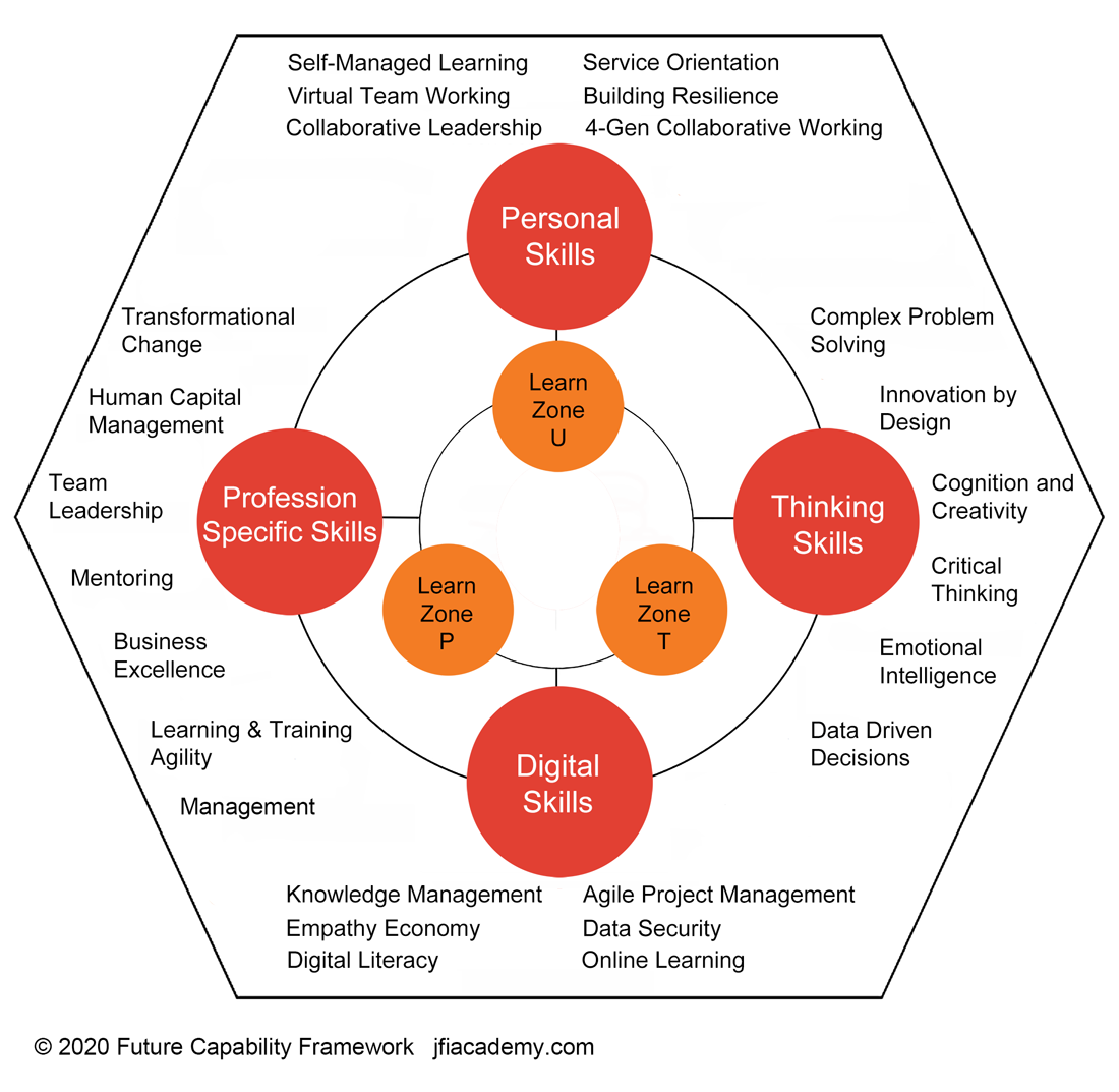 Future Capability Framework™ - JFI Academy